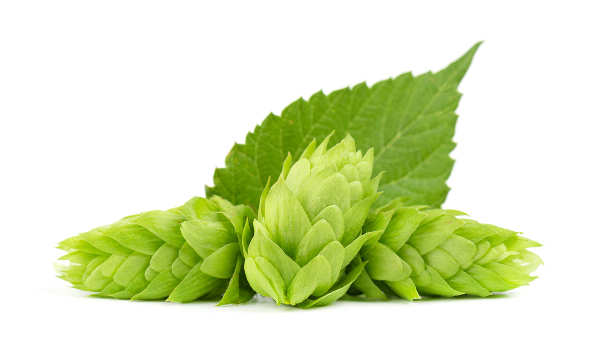 So You Have Decided to Grow Hops – The Community Brew Shop