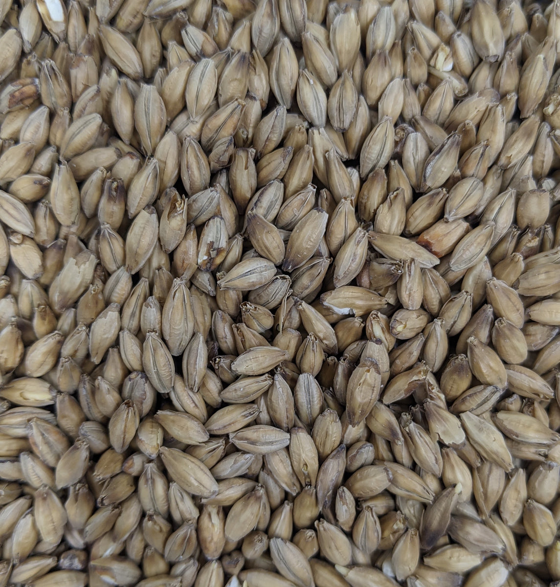 Base Grains – The Community Brew Shop