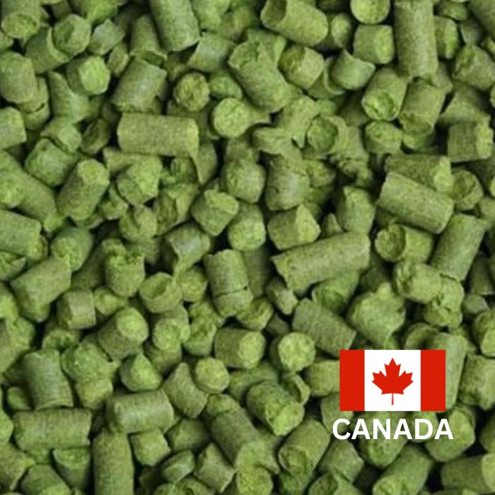 Sasquatch Hops – The Community Brew Shop